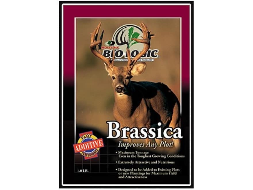 BioLogic Brassica Annual Food Plot Seed 1 lb