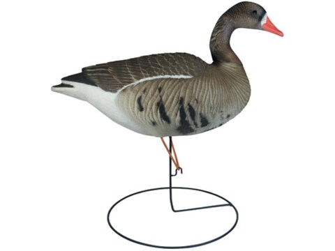 Tanglefree Pro Series Full Body Upright Specklebelly Goose Decoys Pack