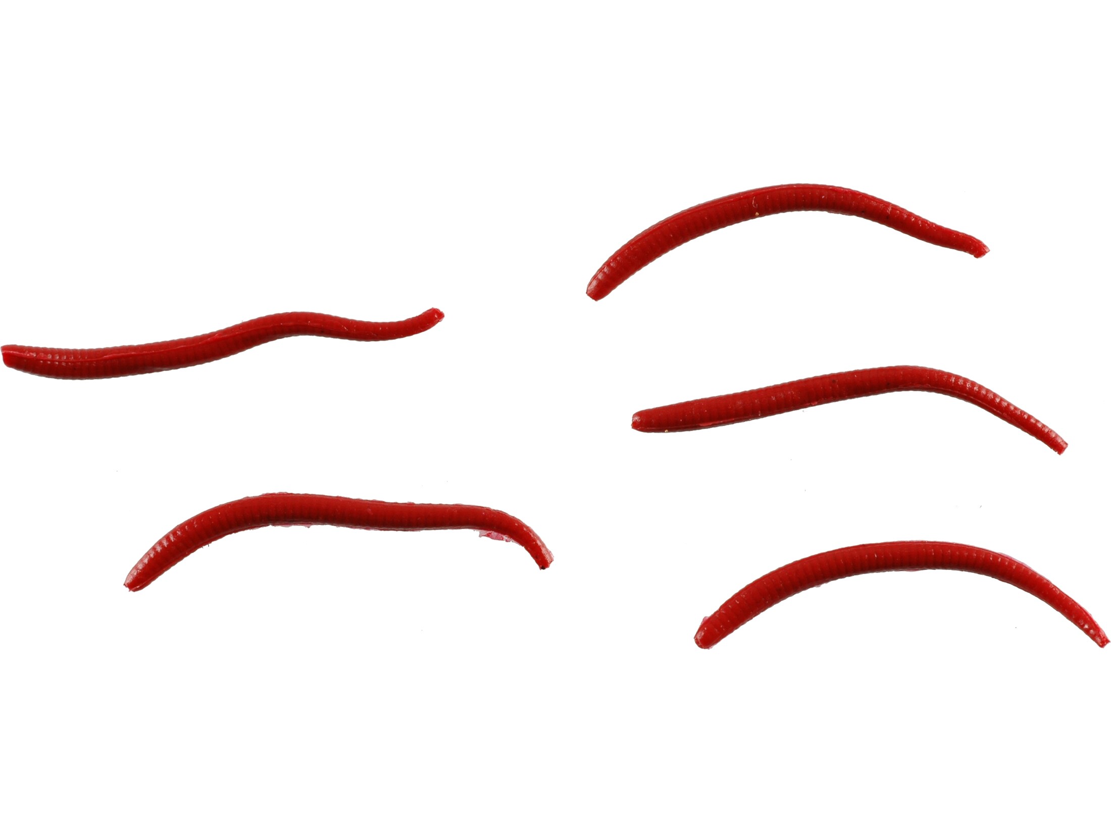 Berkley Gulp! Alive! Angle Worm Red Wiggler 2.1oz