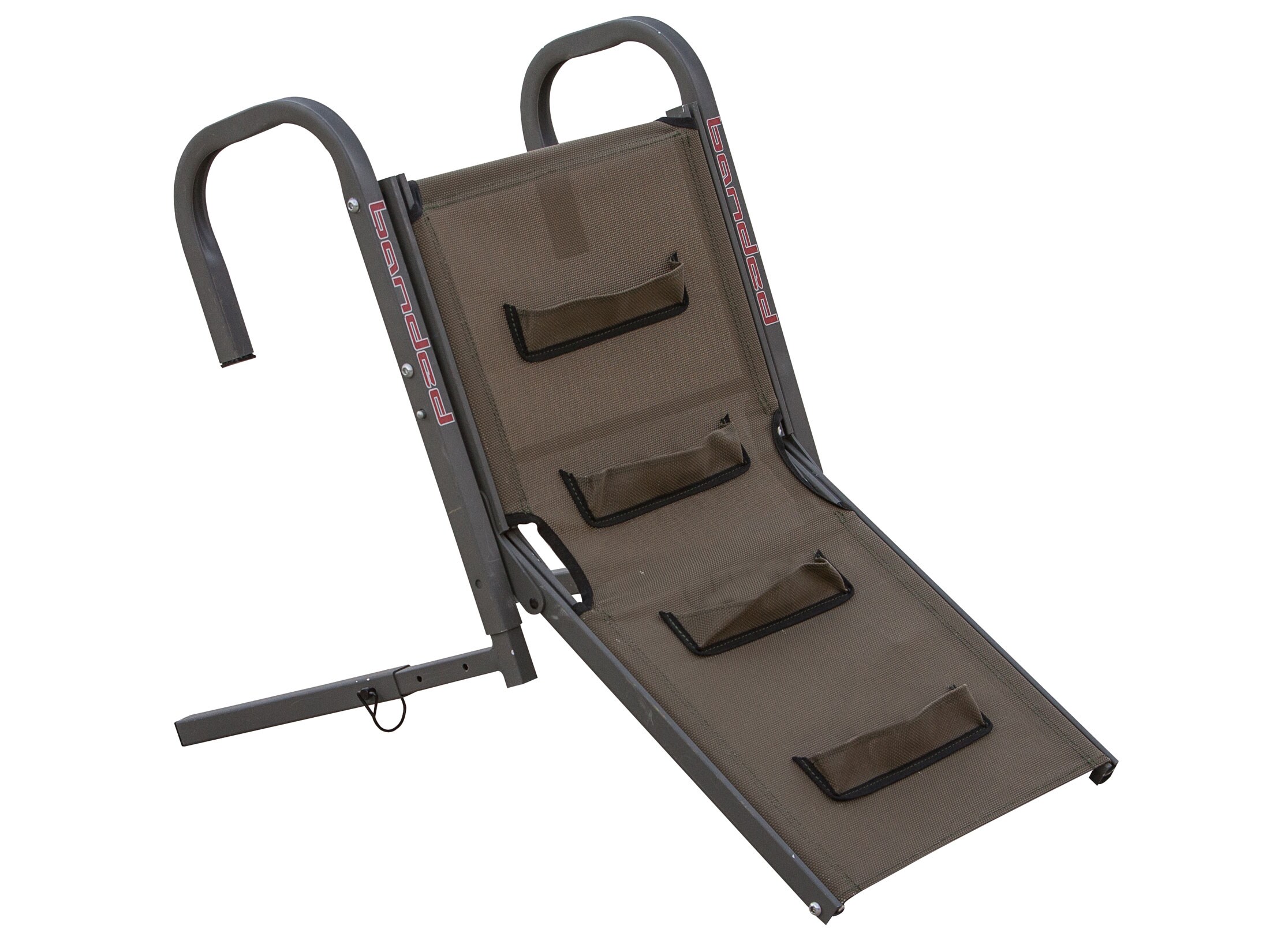 Banded Dog Ramp Brown