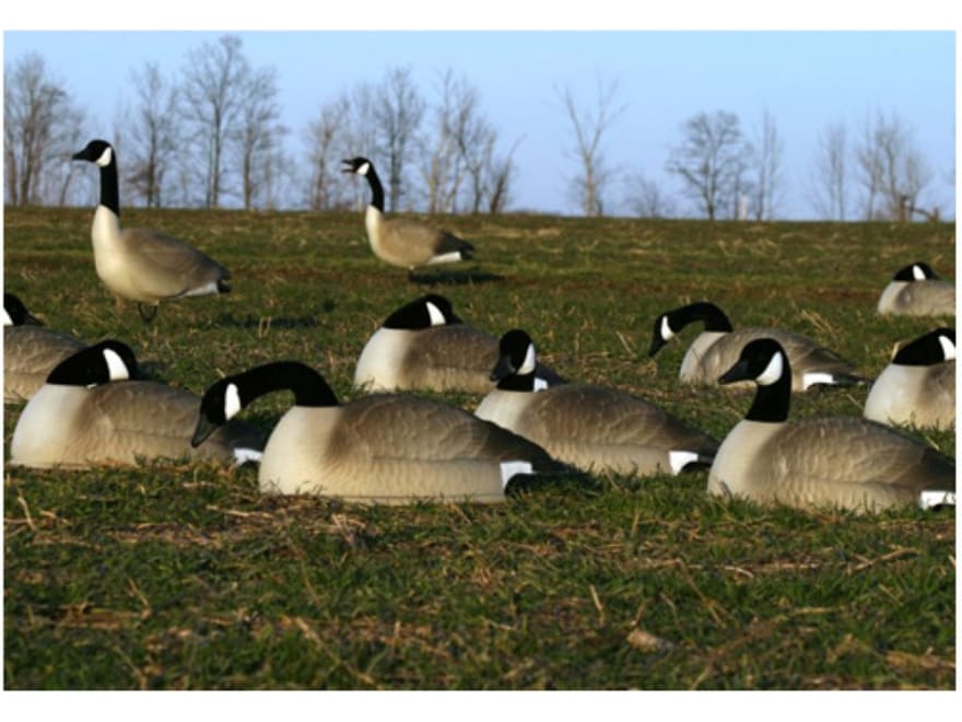 Flambeau Storm Front Flocked Head Canada Goose Sleeper/Rester Pack