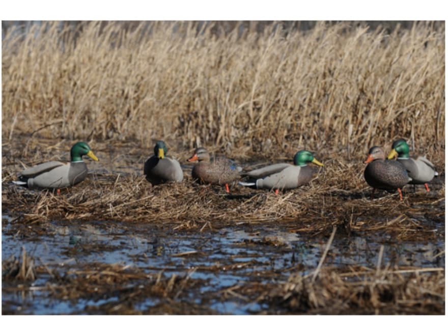 GHG Pro-Grade Flocked Full Body Mallard Duck Decoys Active 6PK