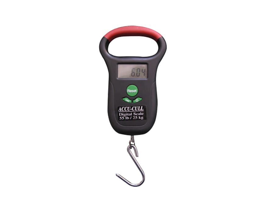 Accu-Cull Digital Scale