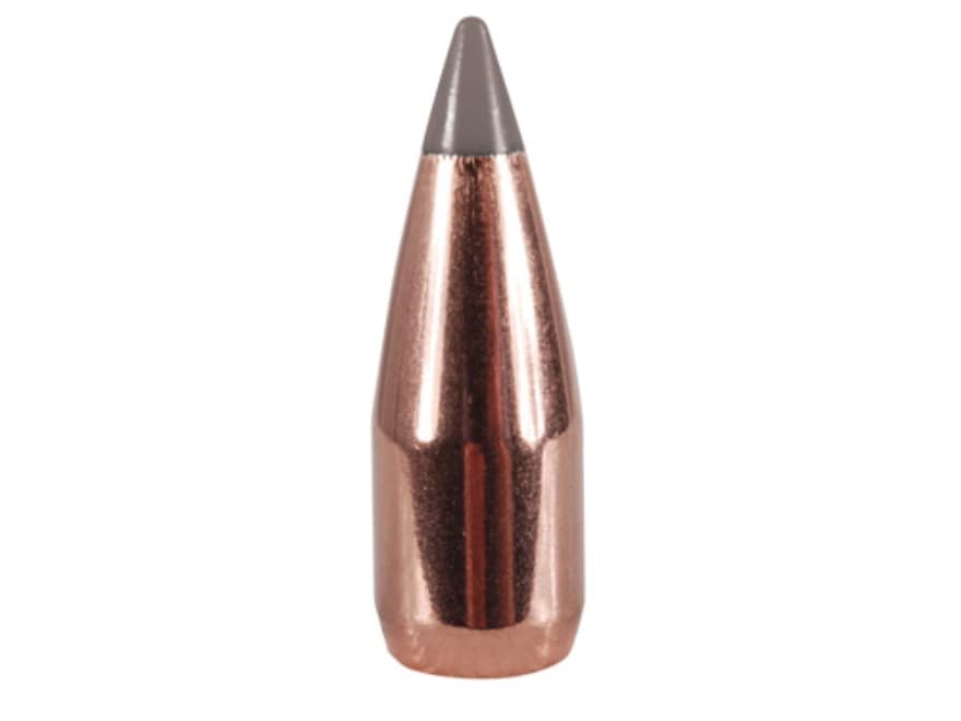 Factory Second Varmint 22 Cal (224 Diameter) Bullets 30 Grain Polymer