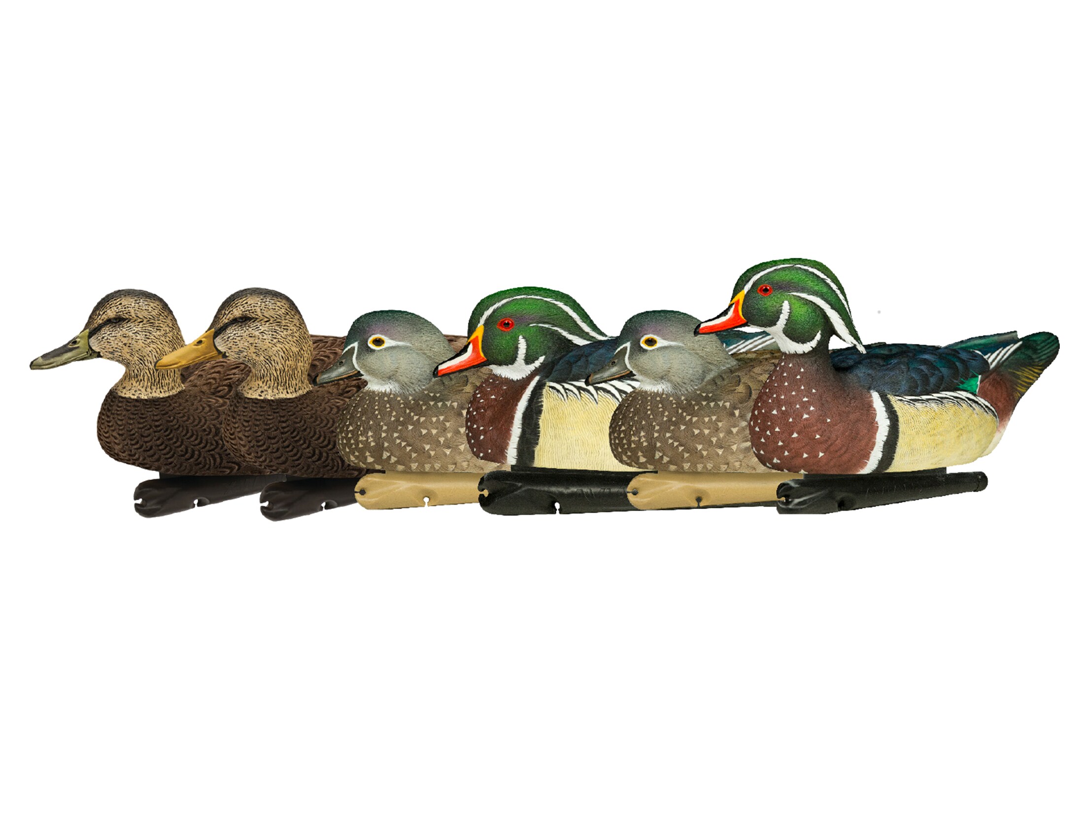 Avian-X Atlantic Flyway Combo Pack Duck Decoy 6PK