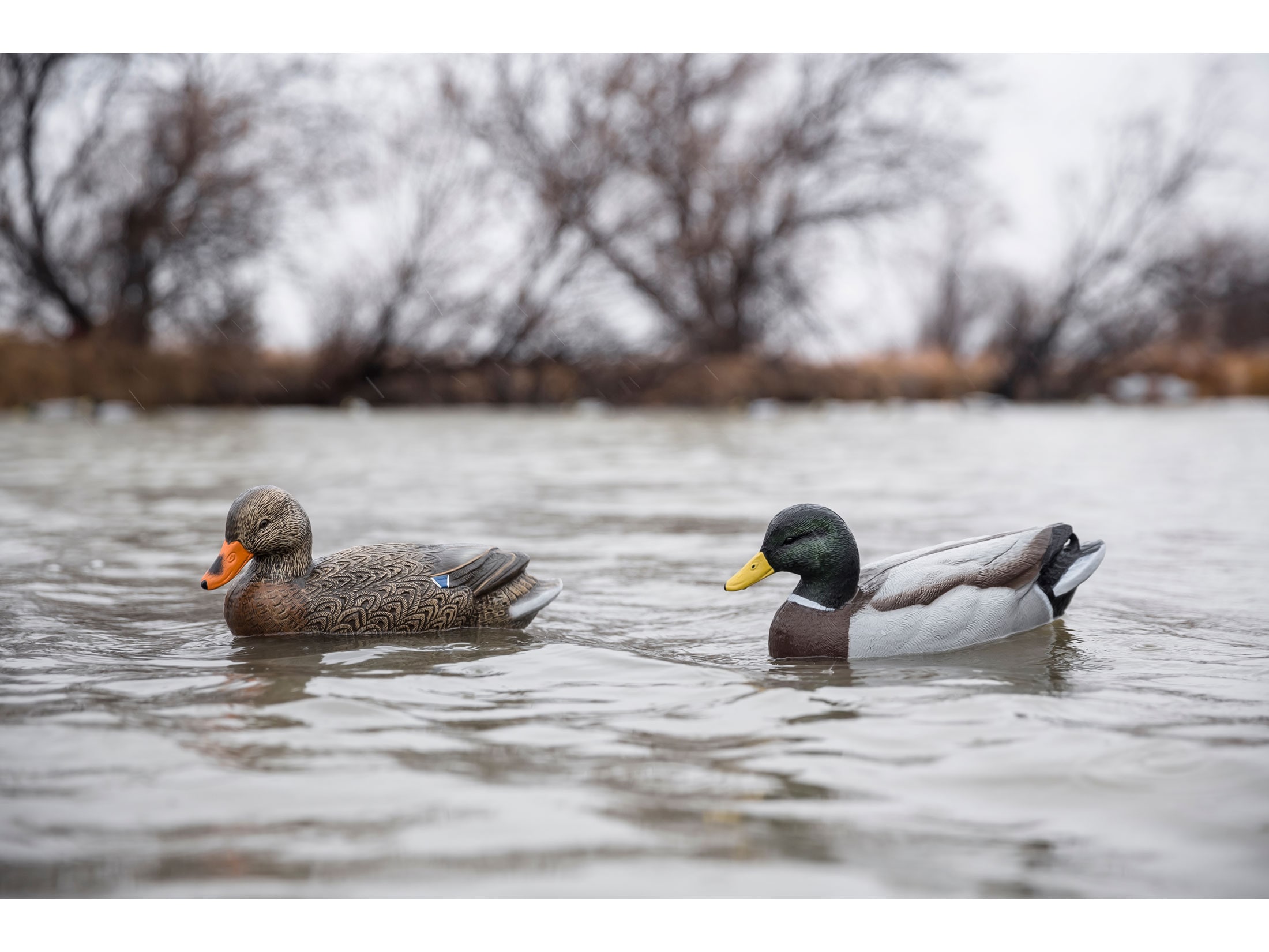Tanglefree Pro Series Duck Decoy Weighted Keel Refuge Mallard Duck