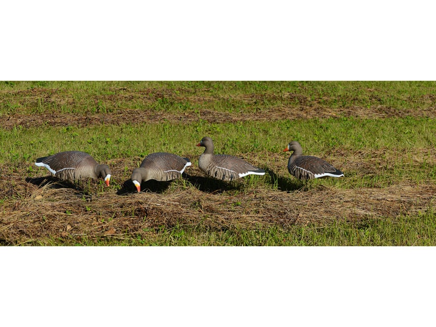GHG Pro-Grade Harvester Pack Specklebelly Shell Goose Decoy Pack of 12