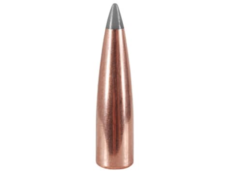 Factory Second Varmint Bullets 5.45x39mm (221 Diameter) 60 Grain