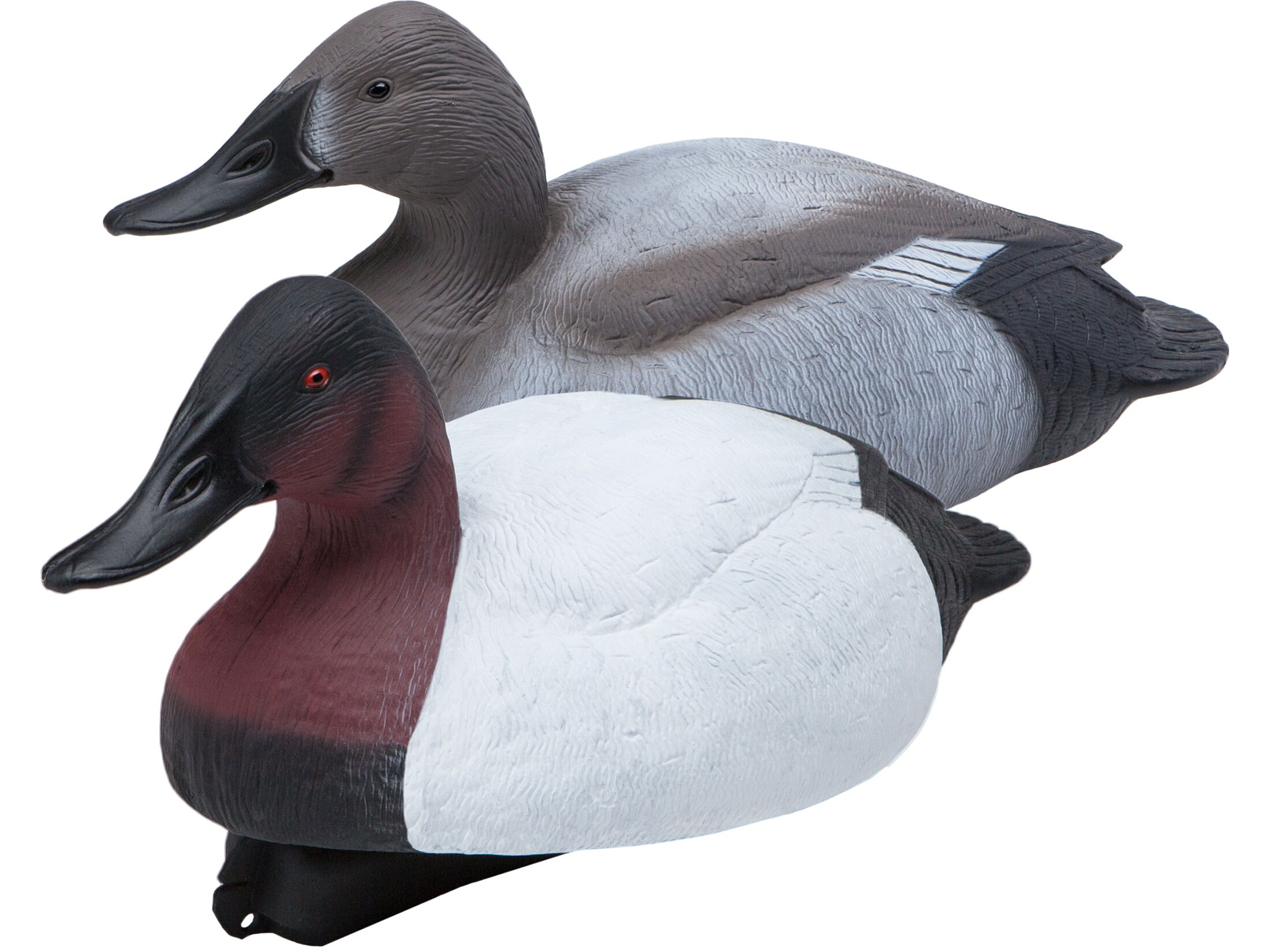 Final Approach Gunner HD Canvasback Duck Decoy 6PK