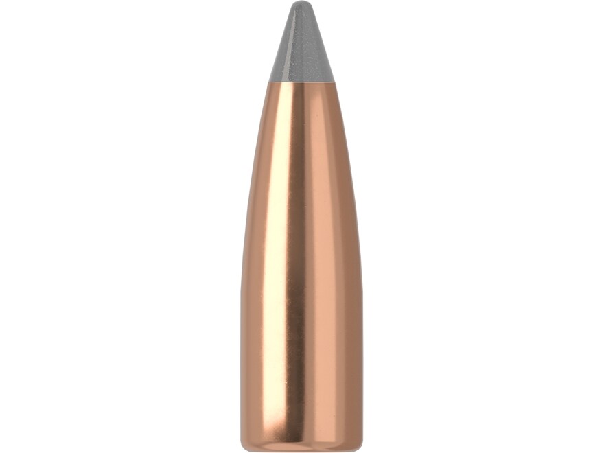 Factory Second Varmint 17 Cal 172 Diameter Bullets 20 Grain Polymer Factory Second Varmint 17 Cal 172 Diameter Bullets 20 Grain Polymer