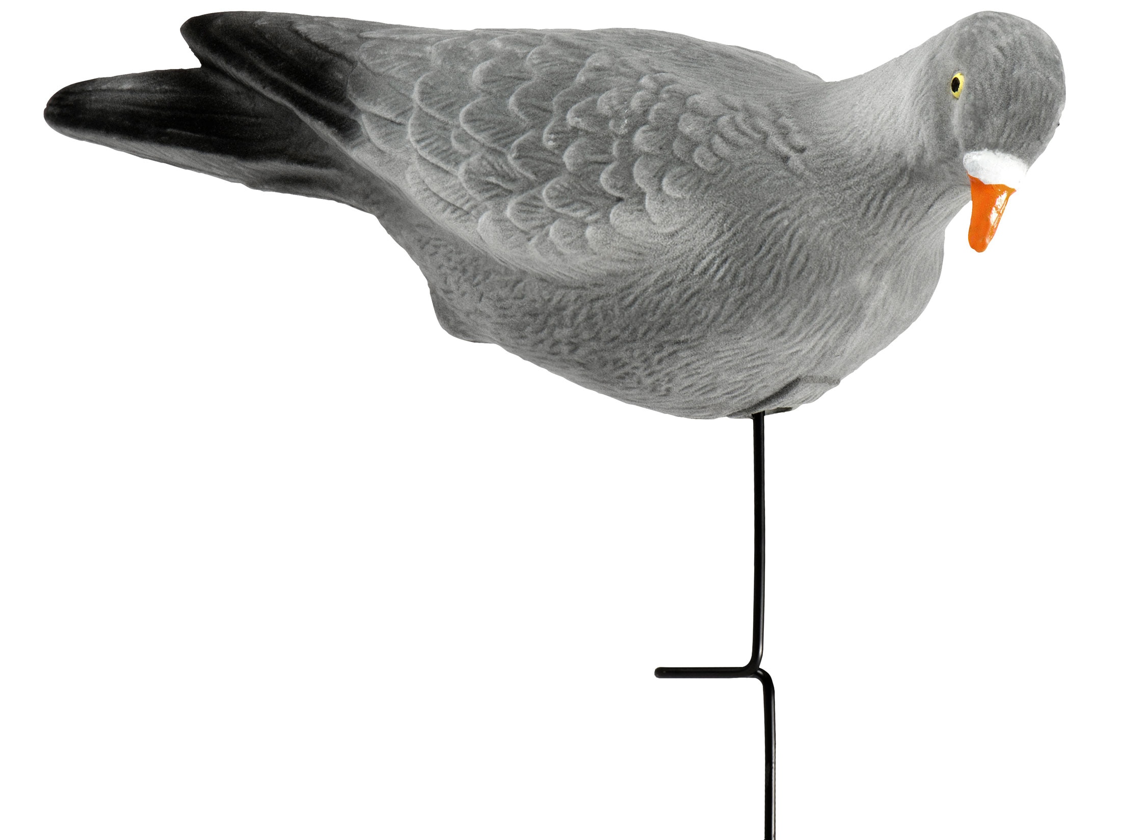 Lucky Duck Flocked Foam Pigeon Decoy 3PK
