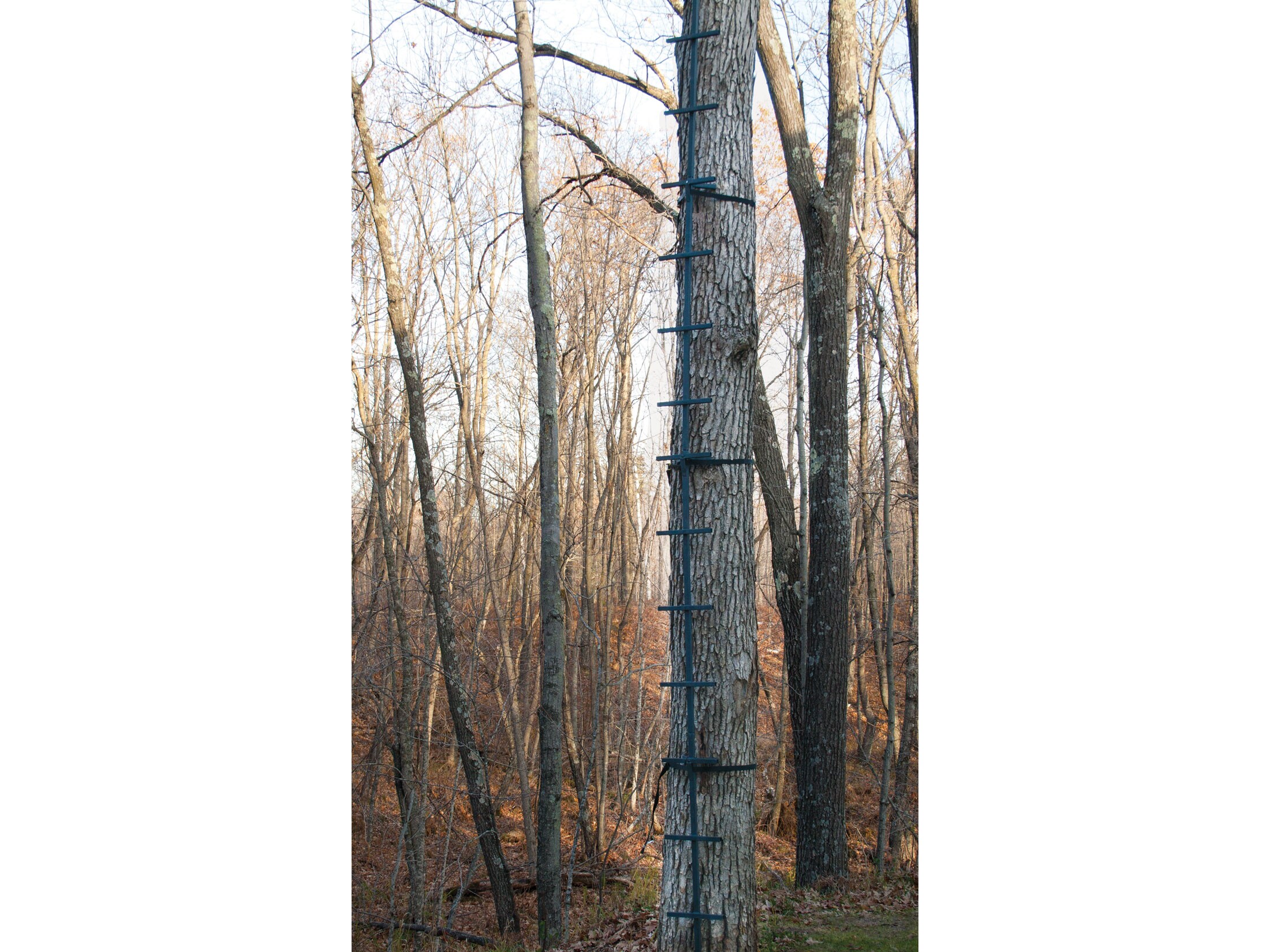 Rivers Edge Rapid Stick 20' Climbing Stick Steel