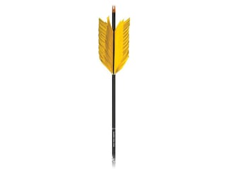 Product Comparison for Carbon Express Game Slayer 350 Carbon Arrow 2 ...