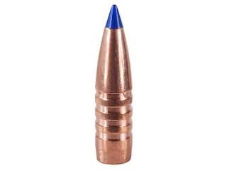 Product Comparison for Combined Technology Ballistic Silvertip Hunting 30-30 Winchester (308 ...