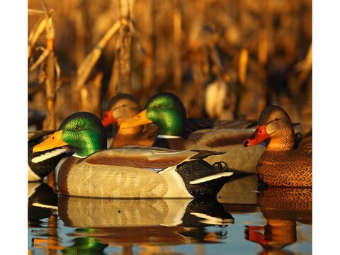 GHG Pro-Grade Pre-Texas Rigged Harvester Pack Mallard Duck Decoy