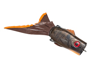 Strike King KVD Popping Perch Topwater Calico Perch