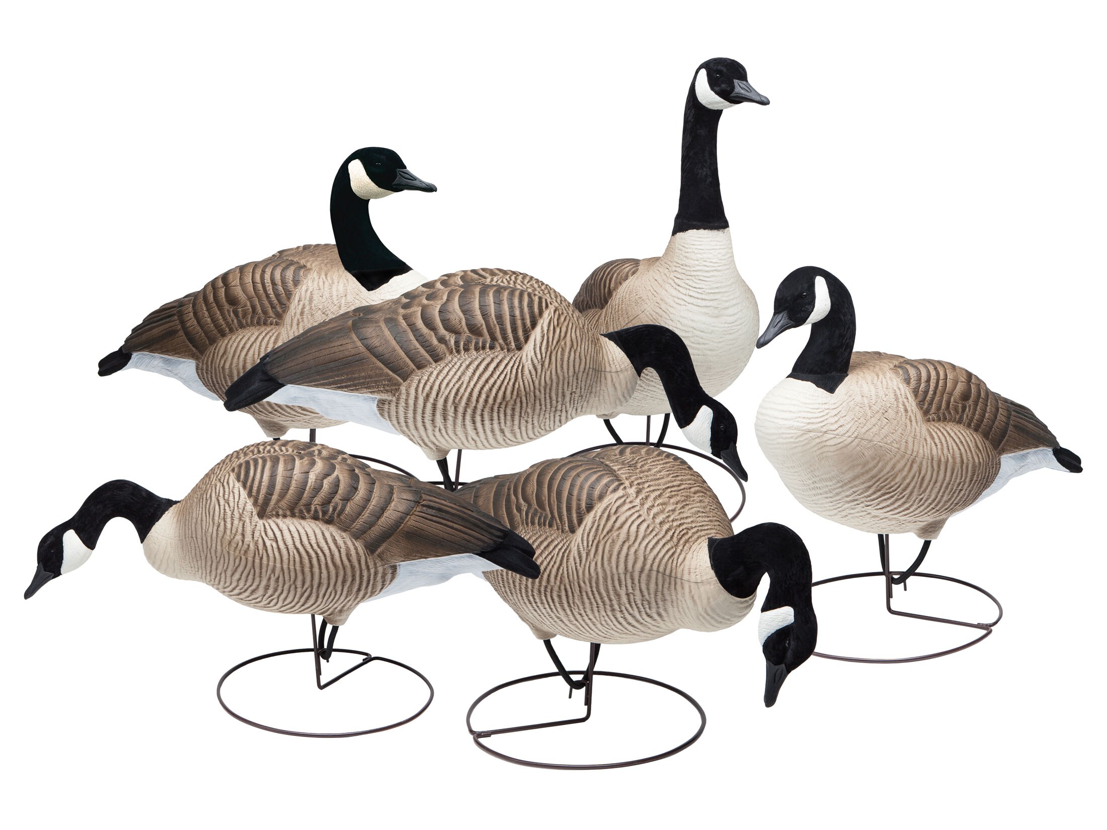 Final Approach Last Pass HD Field Honker Starter Pack Full Body Canada