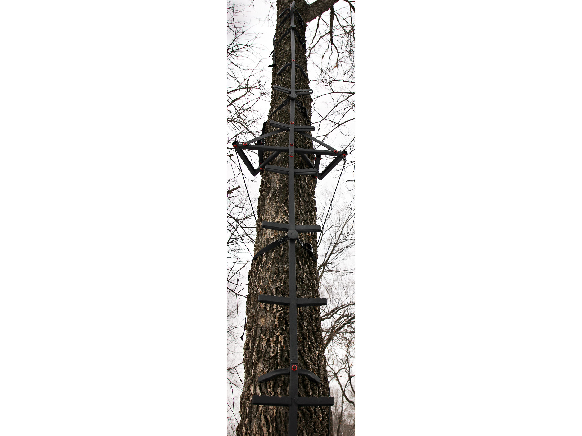 X-Stand The Gator 25' Treestand Climbing Stick Steel