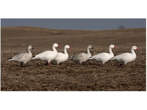 GHG Pro-Grade Full Body Snow Goose Decoys Active Pack of 6