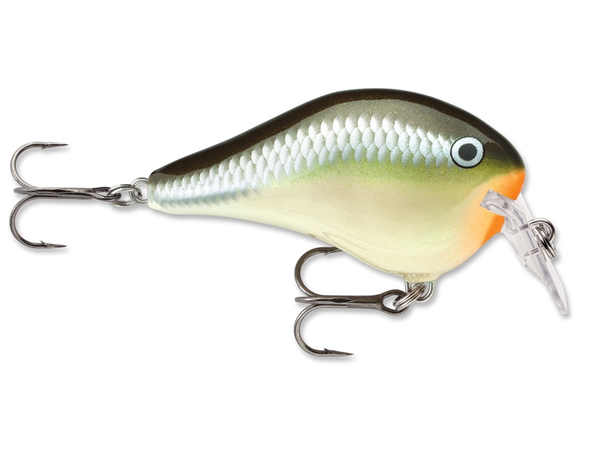 Rapala DT (Dives To) Series Fat 01 Crankbait Old School