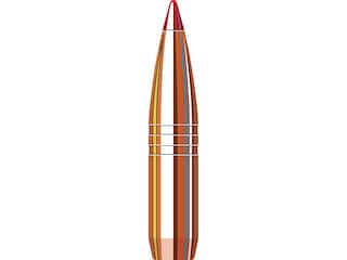 Factory Second Bullets 284 Cal 7mm (284 Diameter) 175 Grain Tipped