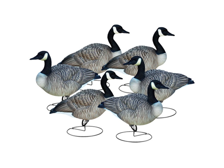 Final Approach Livecraft Relaxed Full Body Canada Goose Decoy 6PK