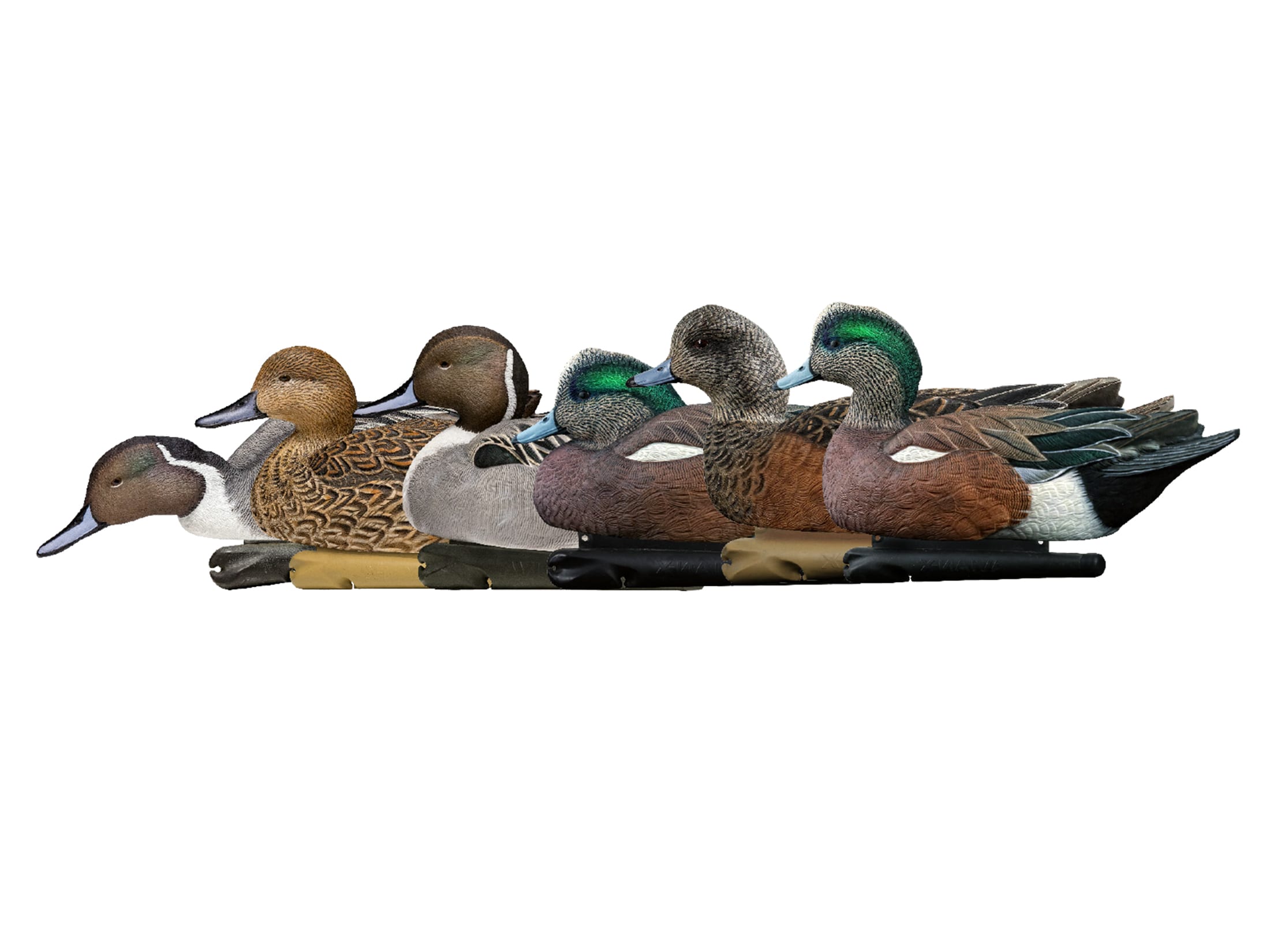Avian-X Pacific Flyway Combo Pack Duck Decoy 6PK
