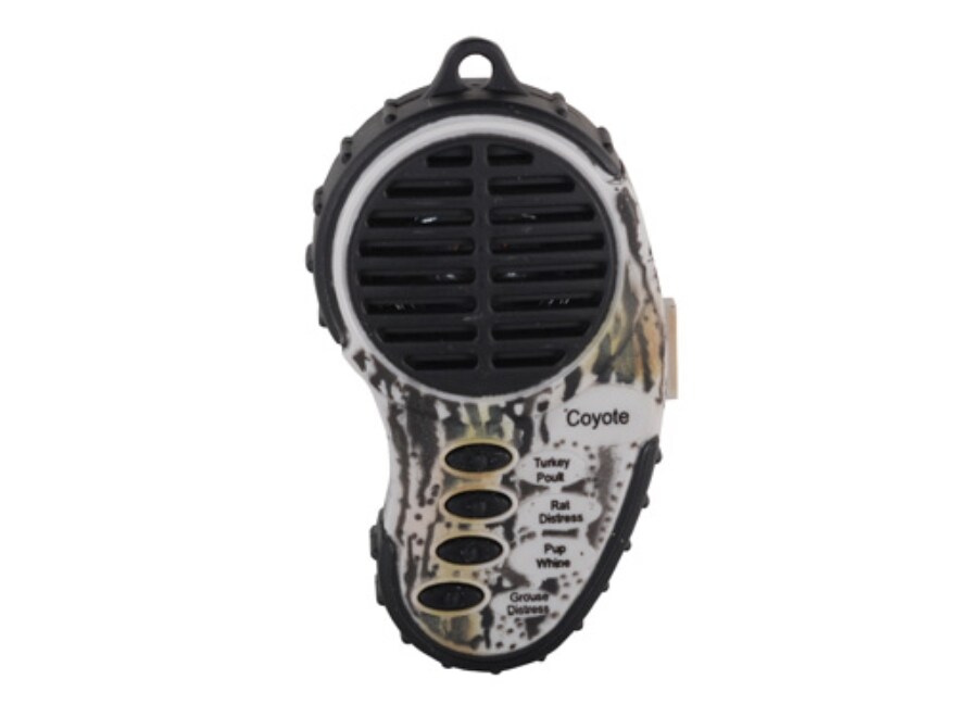 Turkey In Distress Sounds