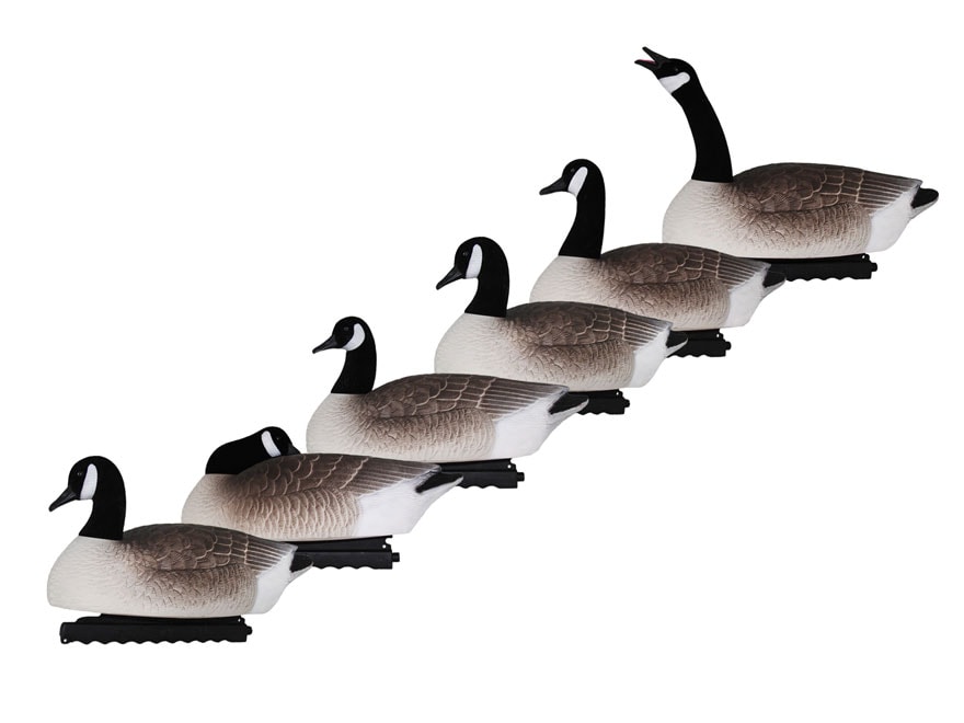 Hard Core Touchdown Canada Goose Floater Decoy 6PK
