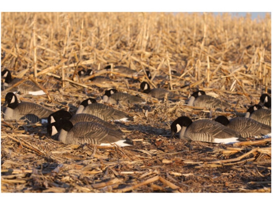 GHG Pro-Grade Honker Goose Shells Harvester Pack of 12
