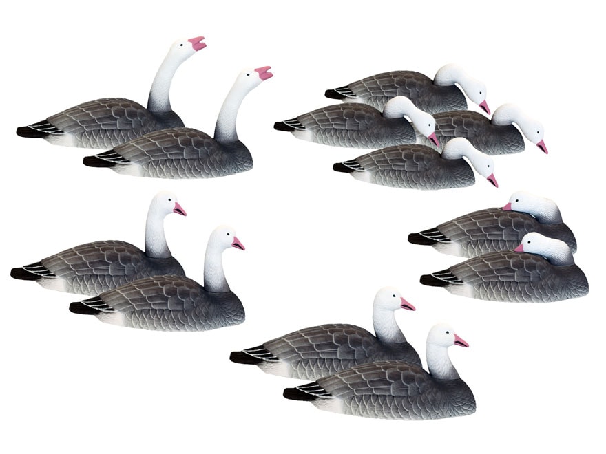 Hard Core Touchdown Blue Goose Shell Decoy Pack of 12