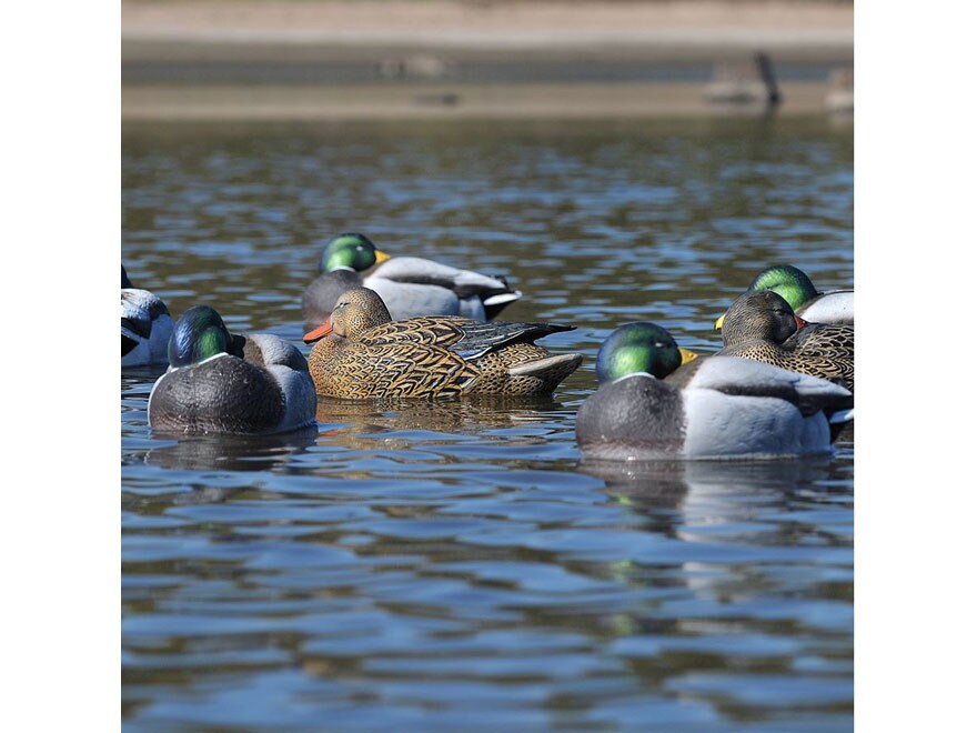 GHG Pro-Grade Mallard Rester January Duck Decoy 6PK