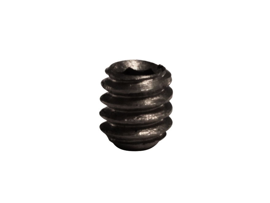 Ruger Bearcat Pawl Spring Retaining Screw Blue