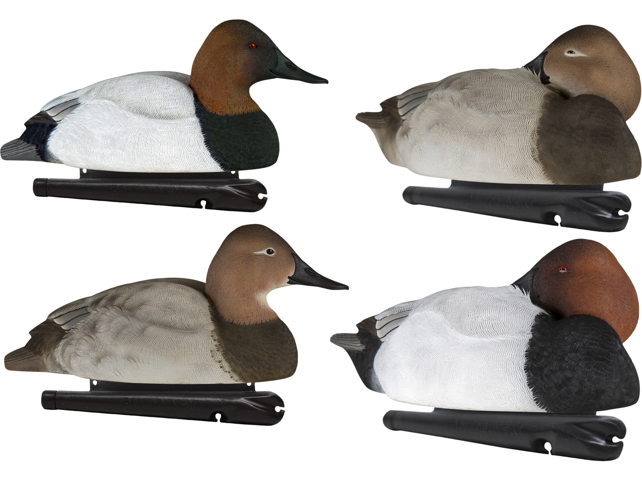 Avian-X Foam Filled Canvasback Duck Decoy 6PK