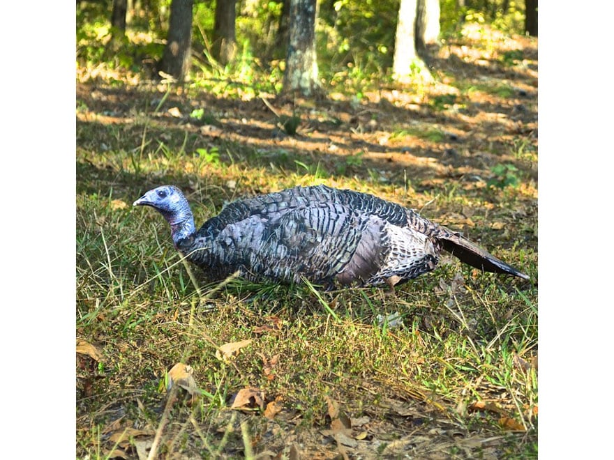 Montana Decoy Miss Purr-Fect Turkey Decoy Cotton, Polyester Steel
