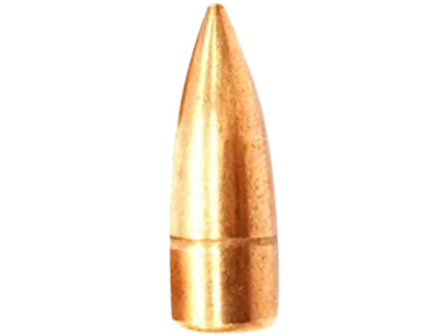 PPU 303 Cal, 7.7mm Japanese, 7.62x39mm (310 Diameter) Bullets 123