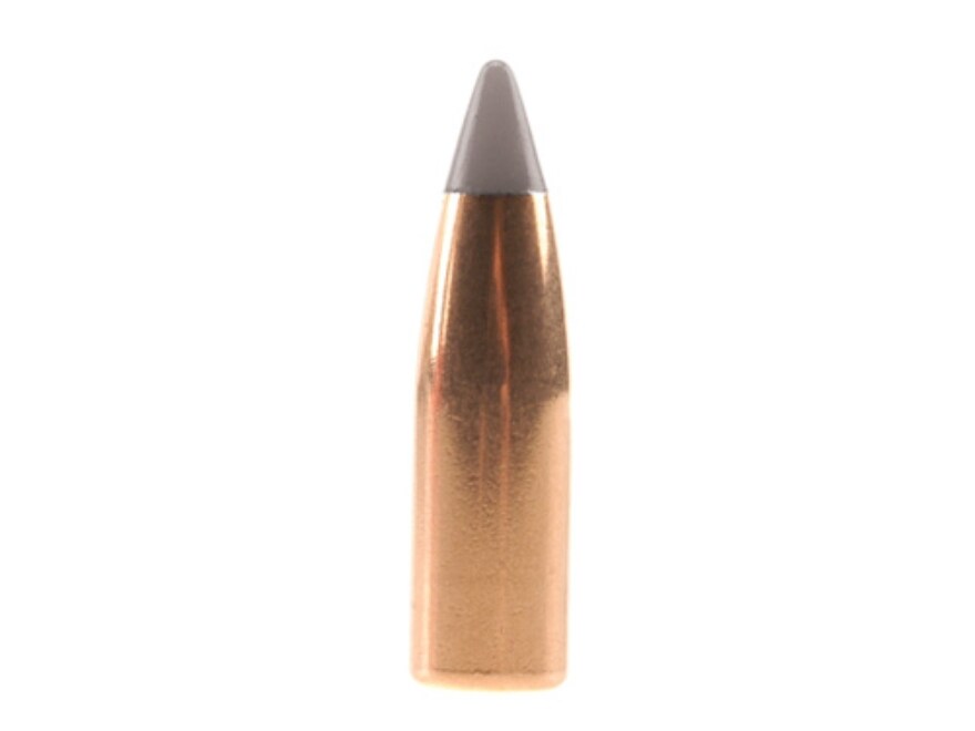 Factory Second Varmint 17 Cal (172 Diameter) Bullets 25 Grain Polymer