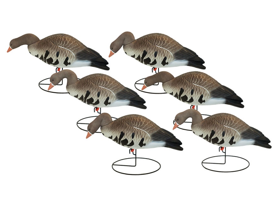 Hard Core Feeder White Front Specklebelly Goose Full Body Decoy 6PK