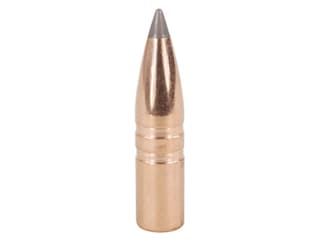 Product Comparison for Nosler Ballistic Tip Hunting Bullets 243 Caliber, 6mm (243 Diameter) 90 ...