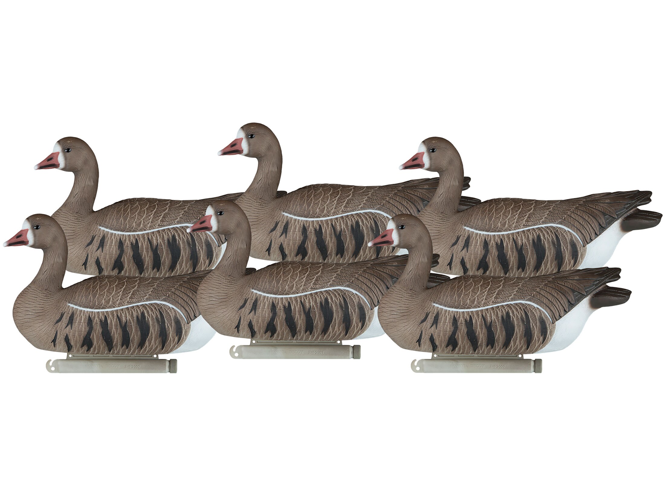 Dakota Decoy X-Treme Upright Floater Specklebelly Goose Decoy 6PK