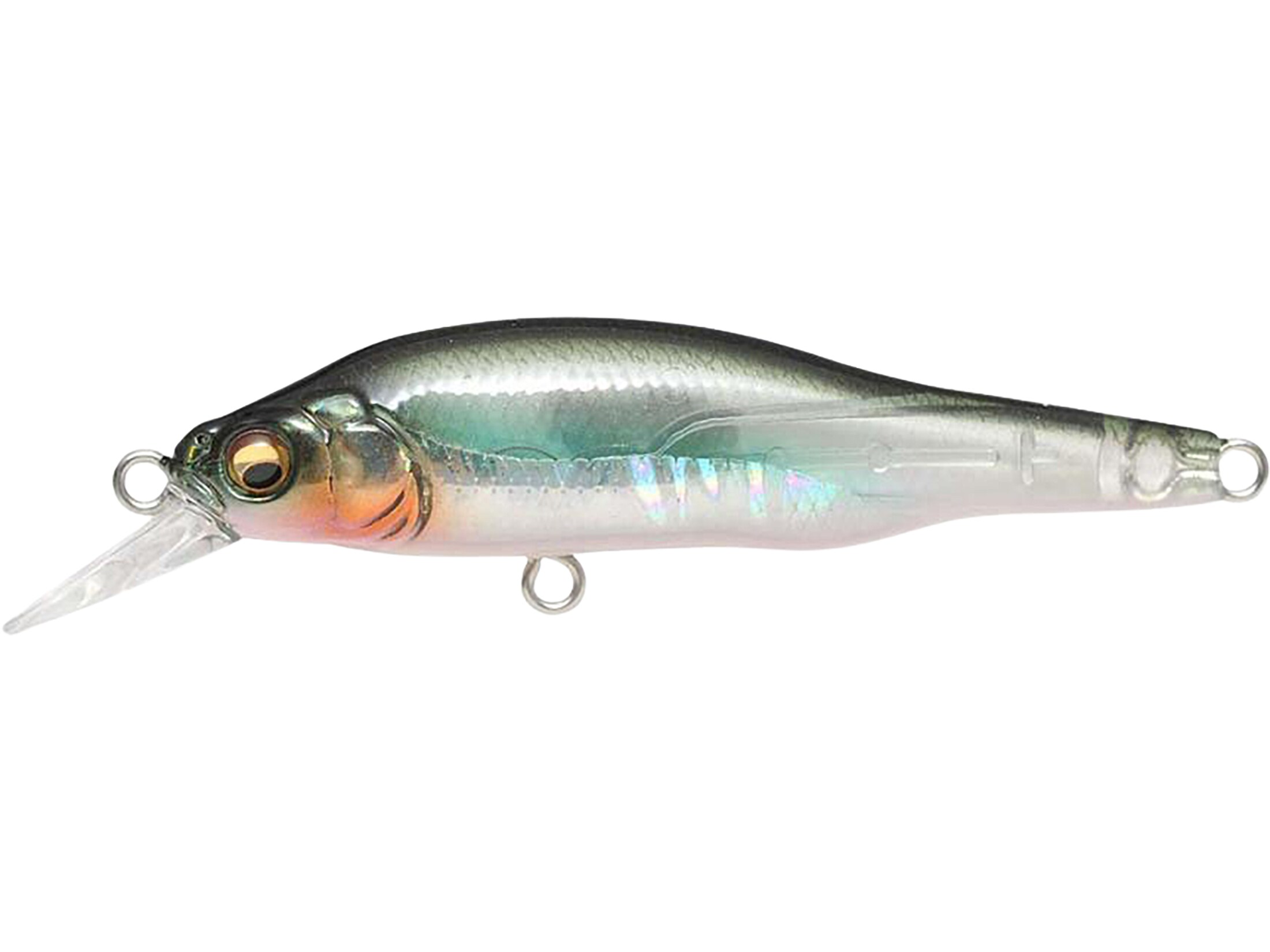 Megabass X-80 Jr. BFS Jerkbait GG Shad