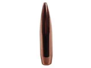 Product Comparison for Barnes Match Burner 6mm, 243 Caliber (243 ...