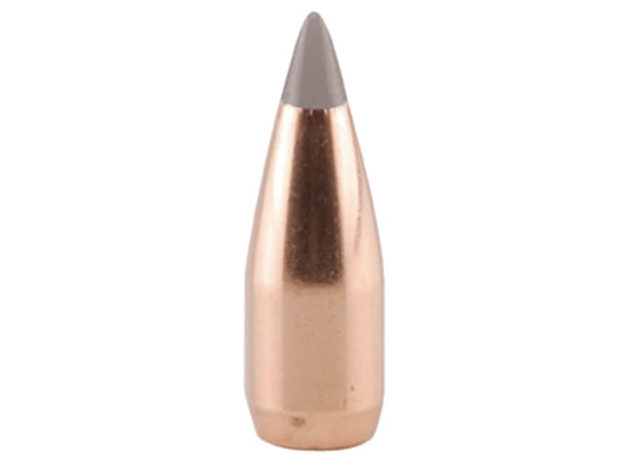 Factory Second Varmint 20 Cal (204 Diameter) Bullets 40 Grain Polymer