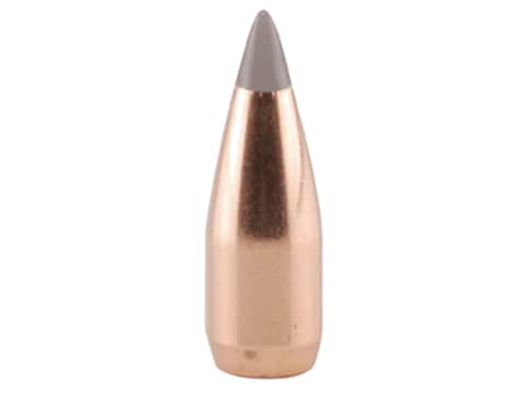 Factory Second Varmint Bullets 20 Cal (204 Diameter) 40 Grain Polymer