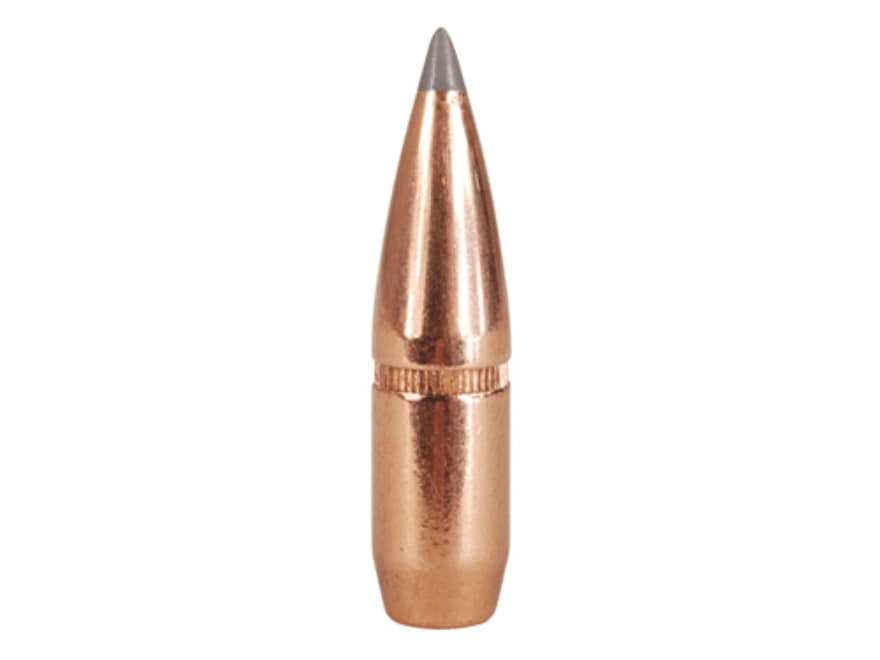 Factory Second 30 Cal (308 Diameter) Bullets 165 Grain Bonded Spitzer