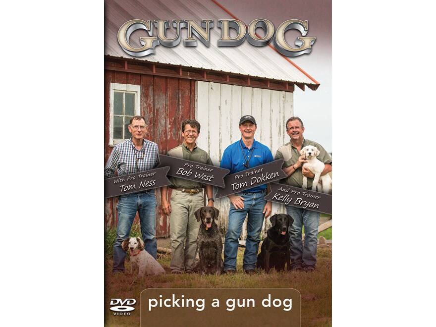 Gun Dog: Picking a Gun Dog DVD