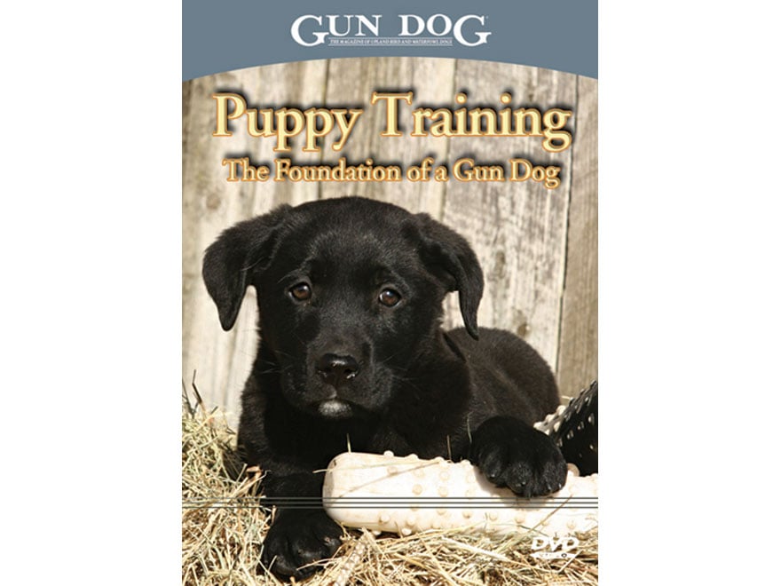 Gun Dog: Puppy Training: The Foundation of a Gun Dog DVD