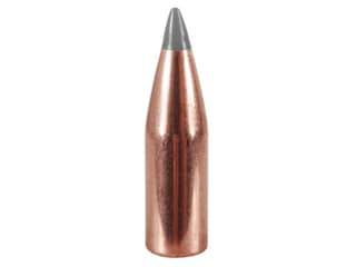Product Comparison for Factory Second Bullets 22 Caliber (224 Diameter ...