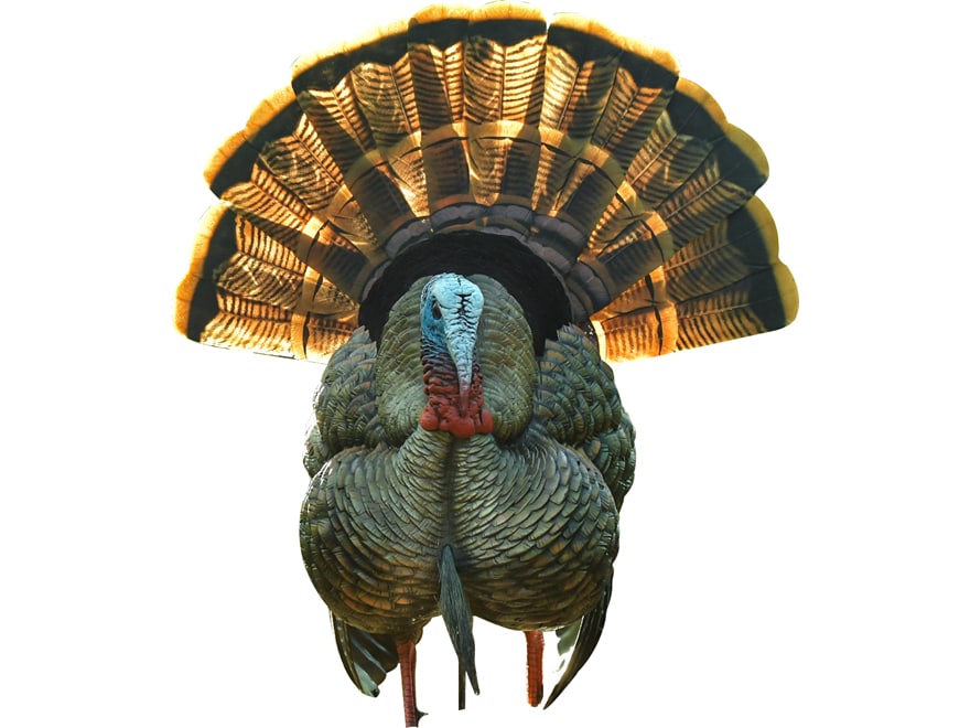 Avian-X HDR Strutter HDR Turkey Decoy