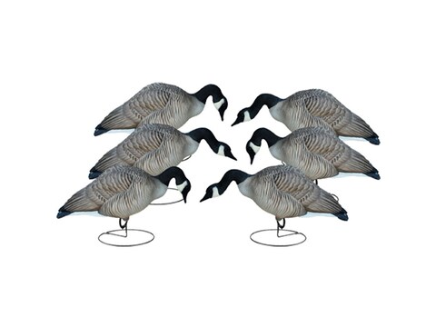Final Approach Livecraft Feeder Full Body Canada Goose Decoy Pack of 6